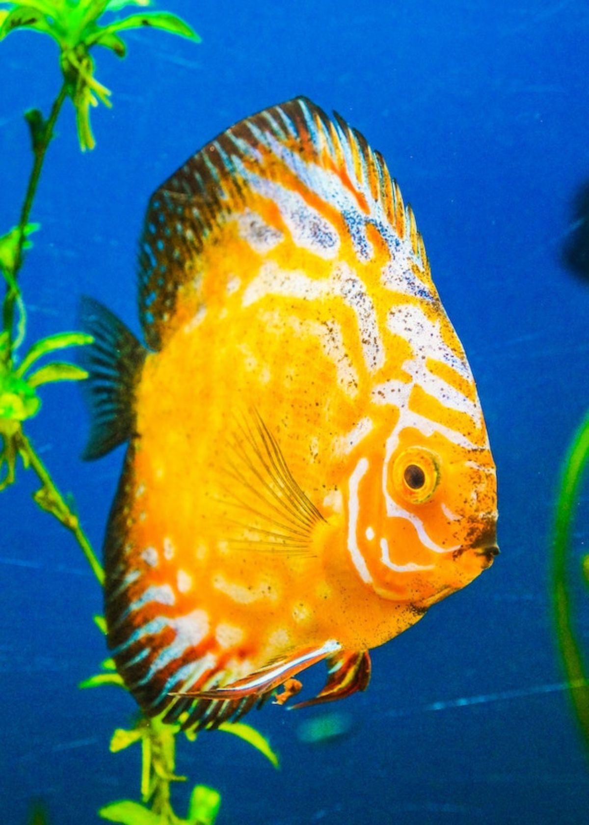 Unhook The Secret To Catch Fish In A Kayak: A Complete Guide