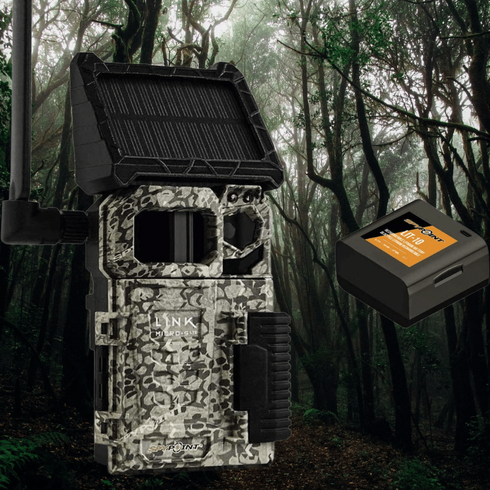 Best Trail Cameras for Every Type of Hunter And Outdoorsman!