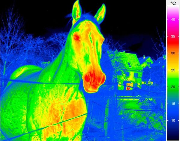 Wondering What Makes Thermal Imaging Cameras So Useful?