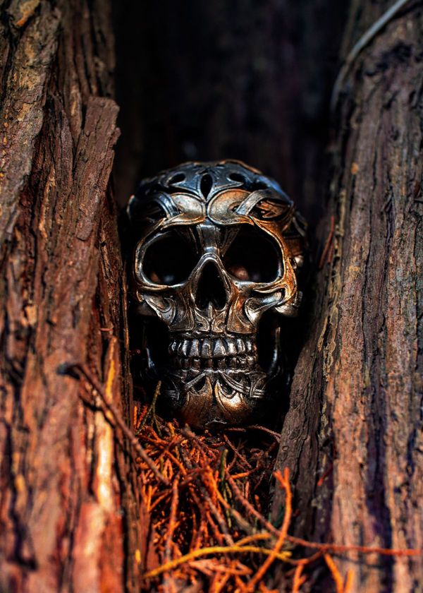 Strike It Rich: Our Guide On How To Use A Metal Detector!